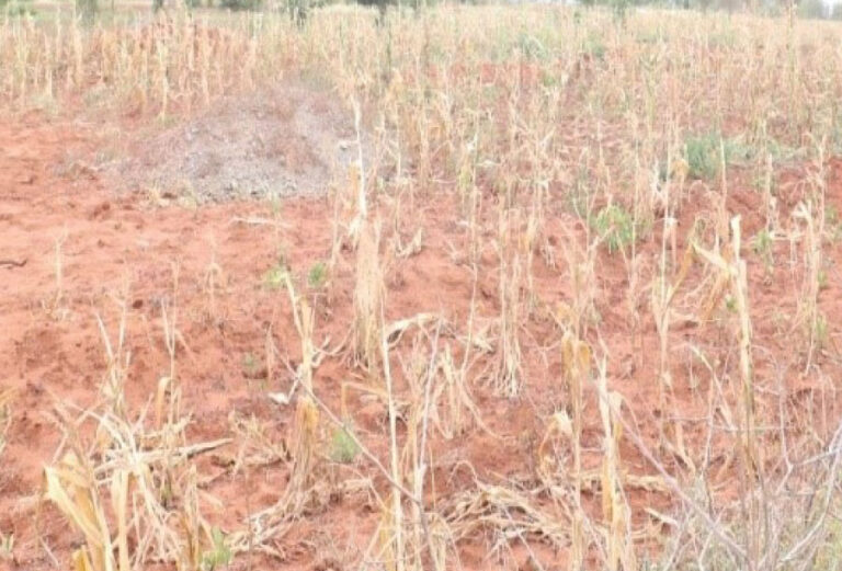 Walda Integrated Agro-Pastoralism Development Project – Ewaso Ng’iro North River Basin ...